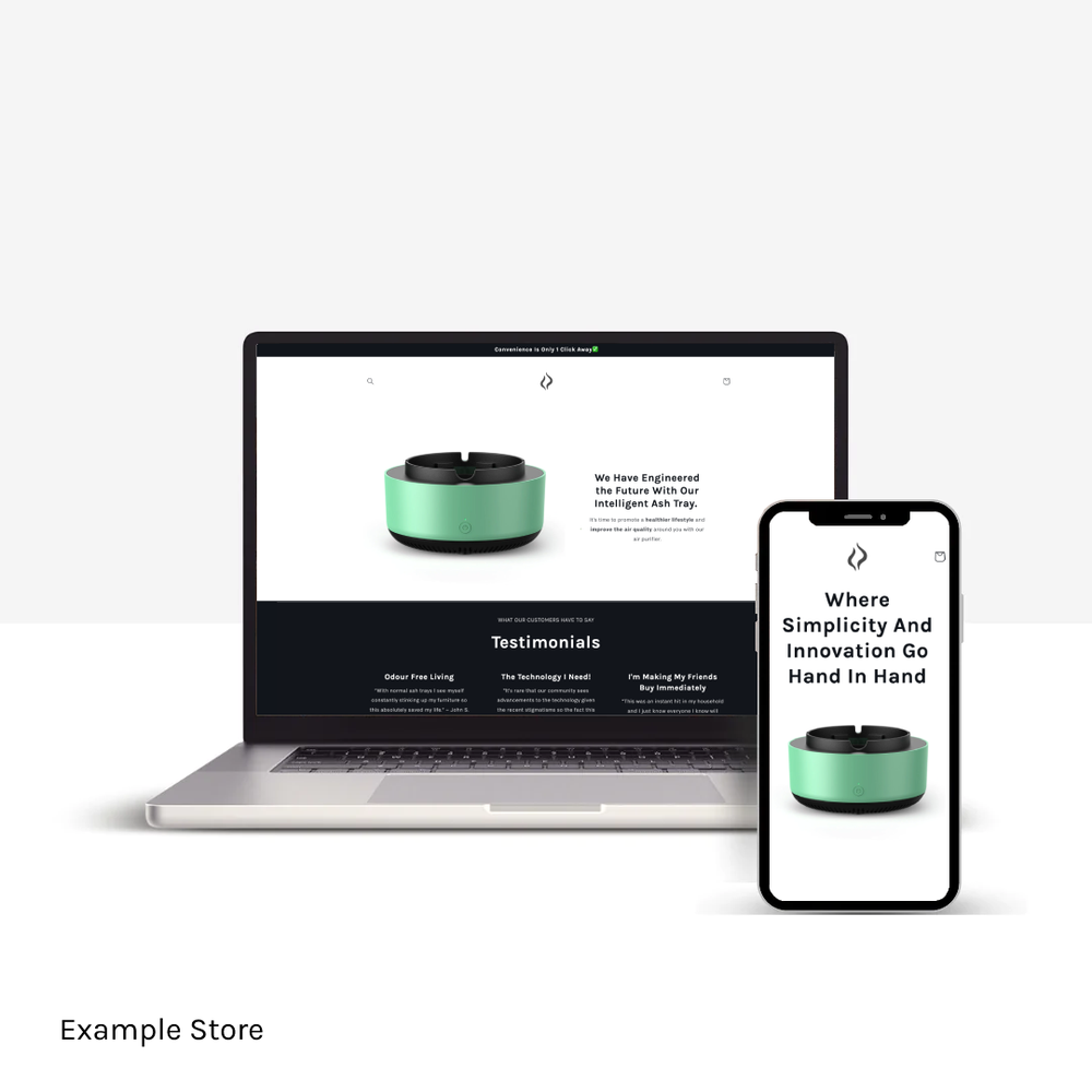 CUSTOM DROPSHIPPING STORE – Beckett