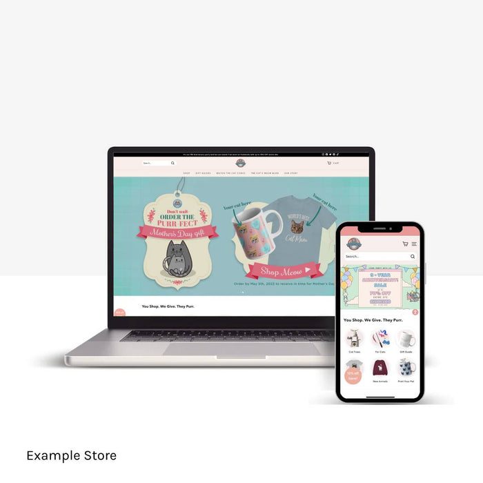 CUSTOM DROPSHIPPING STORE – Beckett